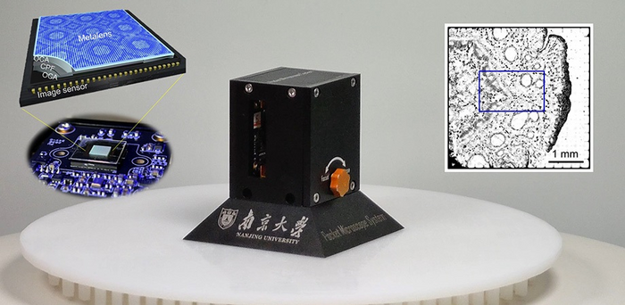 A chip-scale metalens array ma [IMAGE] | EurekAlert! Science News Releases