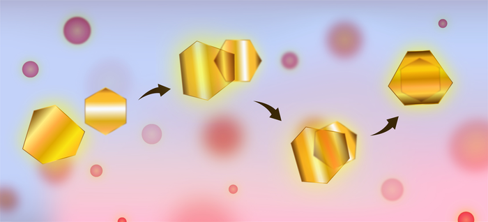 A pair of gold flakes creates a self-assemble | EurekAlert!