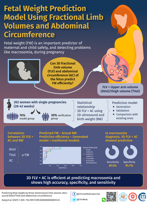 Fetal Weight Prediction Model [IMAGE] | EurekAlert! Science News Releases