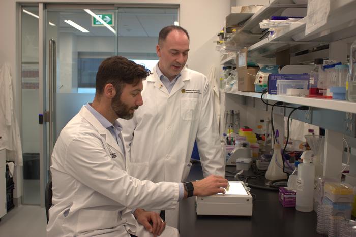 Aaron Goodarzi and Dustin Pear [IMAGE] | EurekAlert! Science News Releases