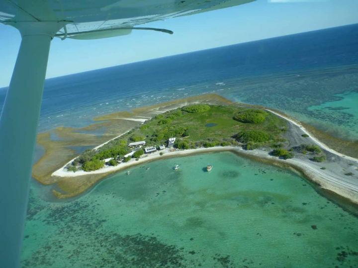 Coastal Areas and Rising Sea L [IMAGE] | EurekAlert! Science News Releases