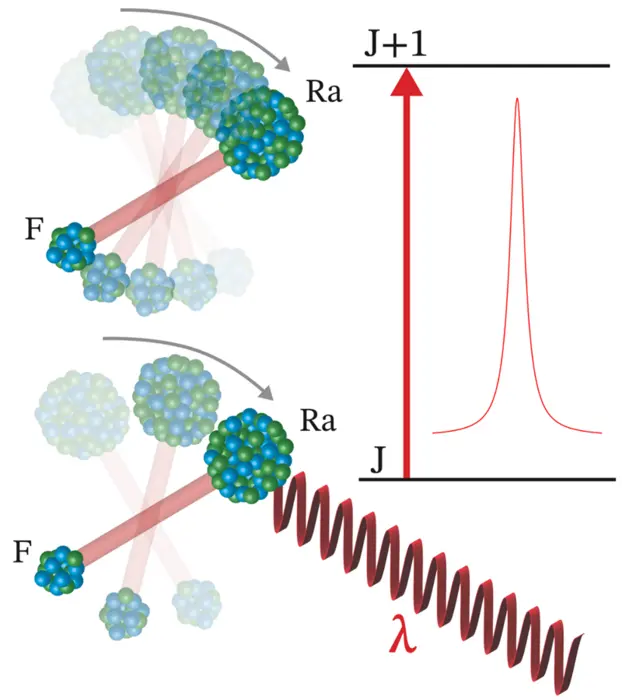 Precision Measurements of Radi [IMAGE] | EurekAlert! Science News Releases