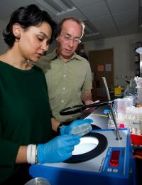 Betül Kaçar and Eric Gaucher, [IMAGE] | EurekAlert! Science News Releases