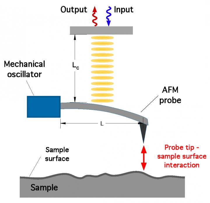 Sensors -- Novel 'Squeezing' T [IMAGE] | EurekAlert! Science News Releases