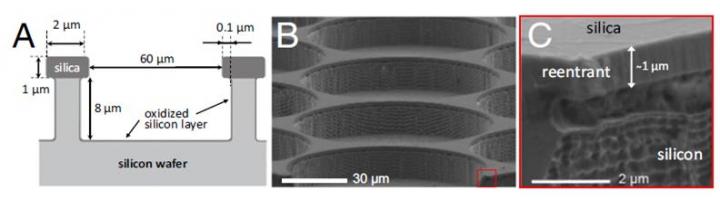 Micropatterned Surfaces [IMAGE] | EurekAlert! Science News Releases