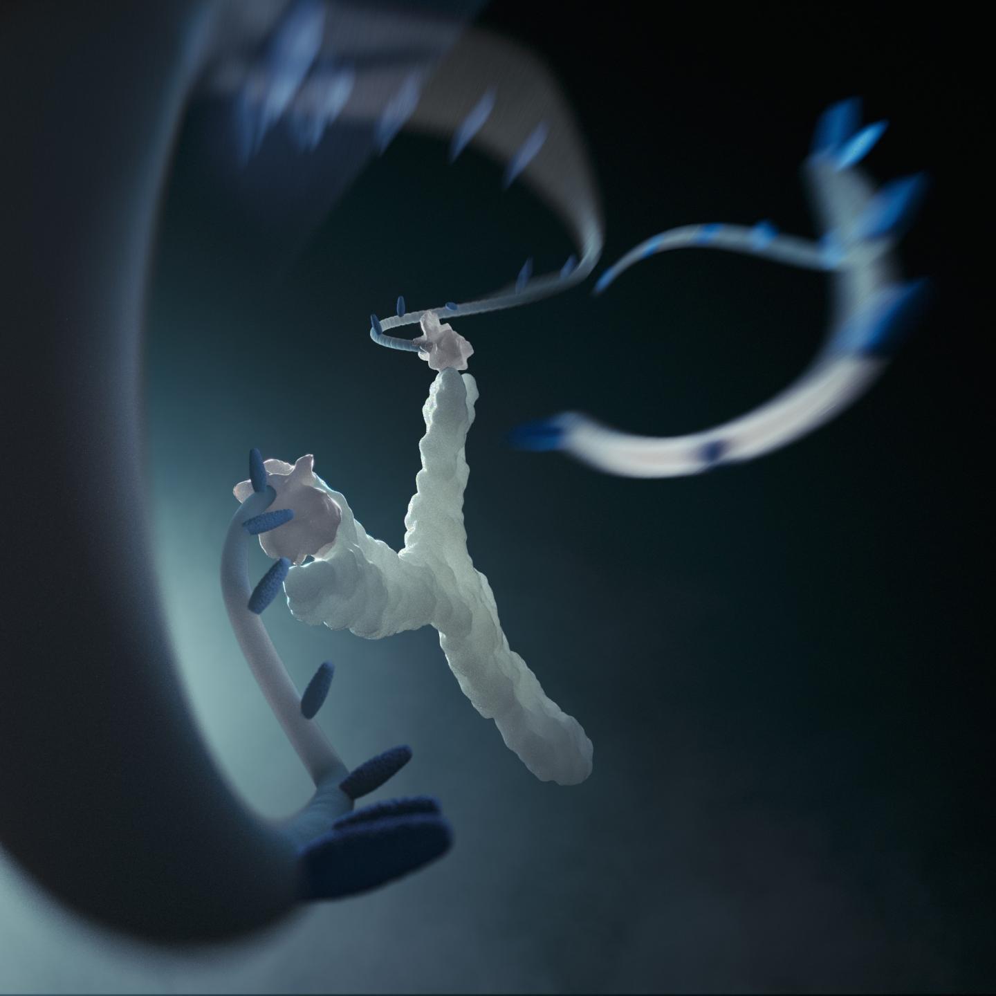 Molecular Slingshot [IMAGE] | EurekAlert! Science News Releases