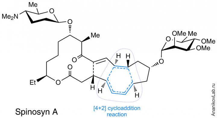Assembling the Molecule of Spi [IMAGE] | EurekAlert! Science News Releases