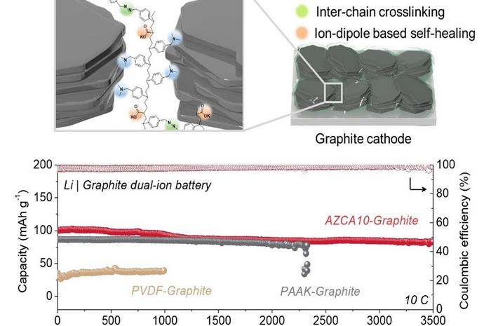 Figure 1 [IMAGE] | EurekAlert! Science News Releases
