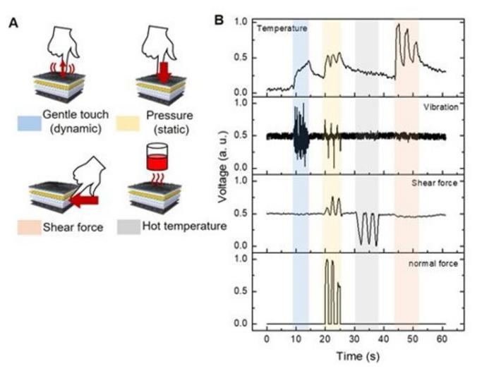 Outcome of the detection of mu [IMAGE] | EurekAlert! Science News Releases