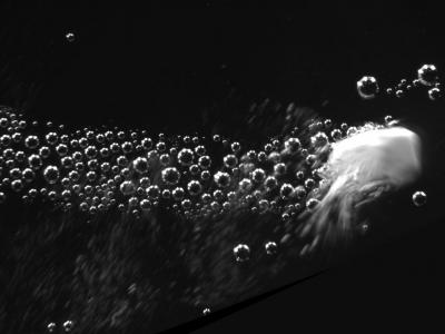 Self-Propelled Particles Deliv [IMAGE] | EurekAlert! Science News Releases