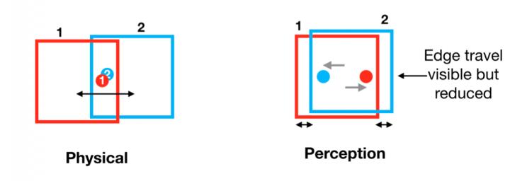 Paradoxical frame stabilizatio [IMAGE] | EurekAlert! Science News Releases