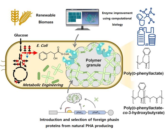 Image 1 [IMAGE] | EurekAlert! Science News Releases
