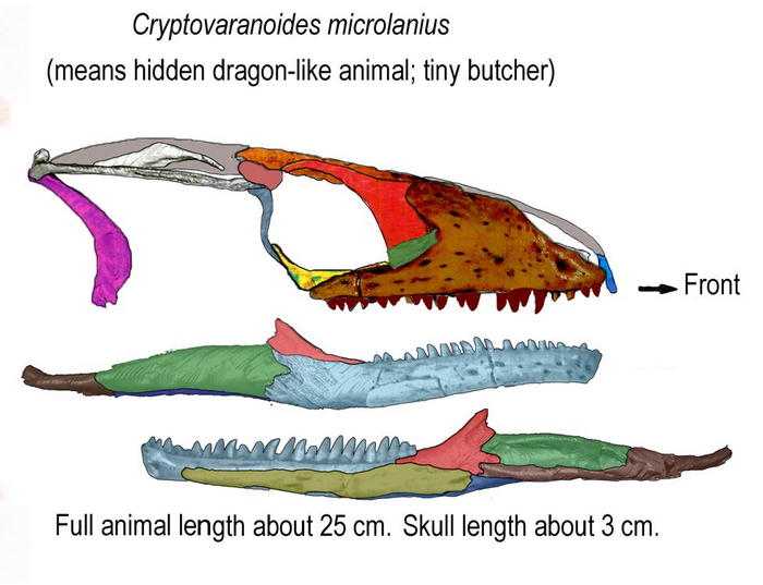 Fig 5 [IMAGE] | EurekAlert! Science News Releases