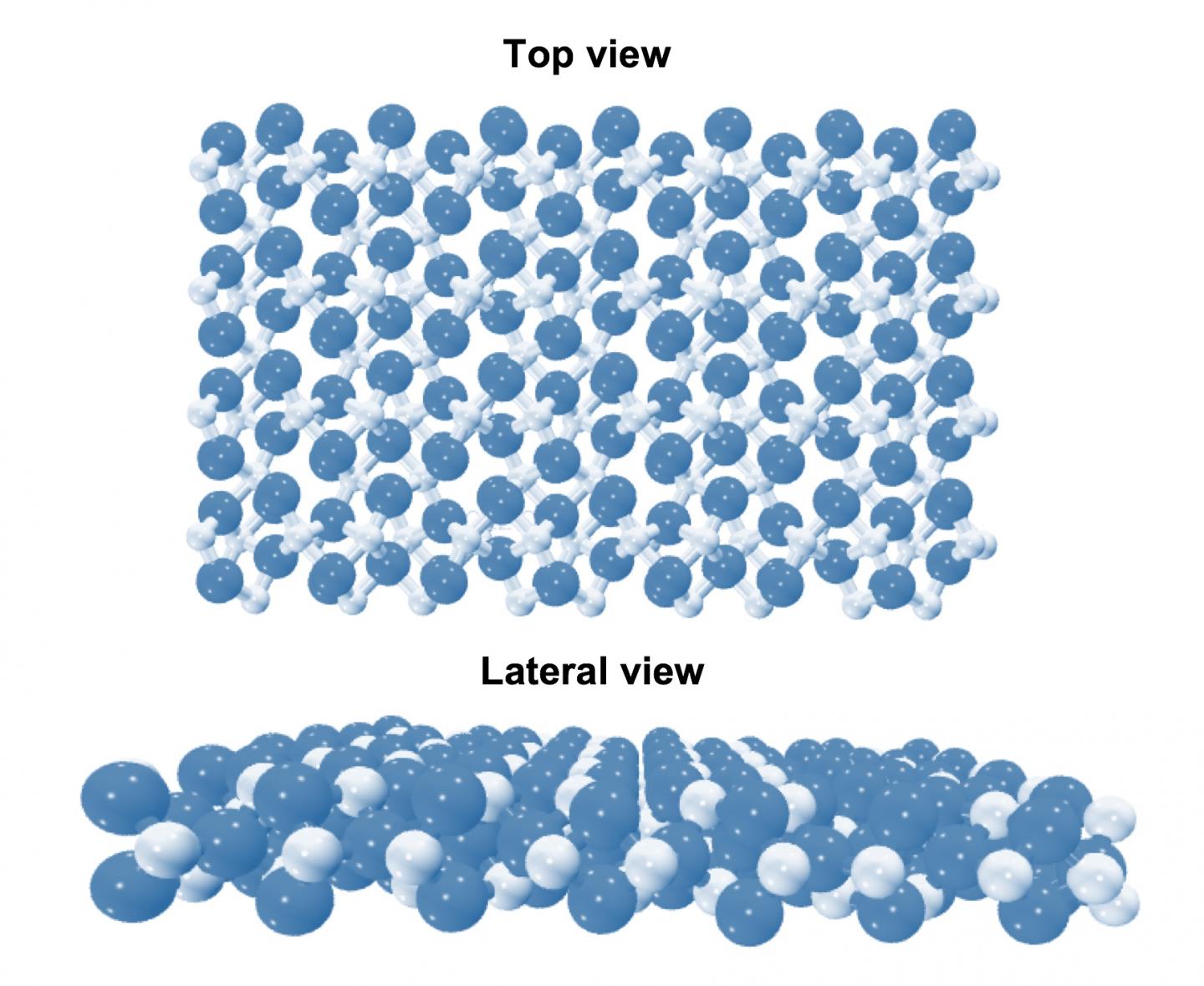 Hemantene 2 [IMAGE] | EurekAlert! Science News Releases