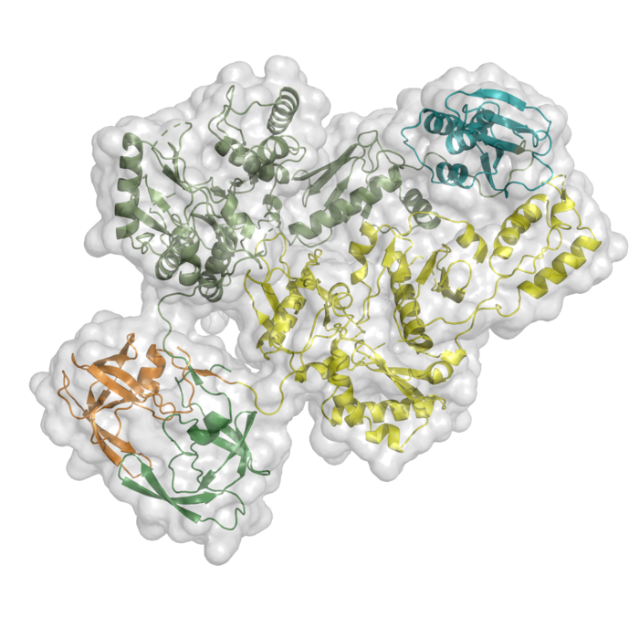 Science Image [IMAGE] | EurekAlert! Science News Releases