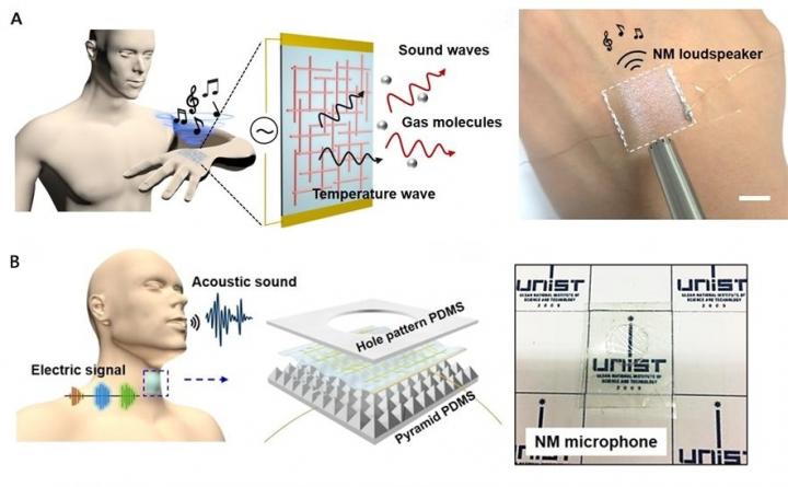 Schematic Images of (A) Skin-a [IMAGE] | EurekAlert! Science News Releases