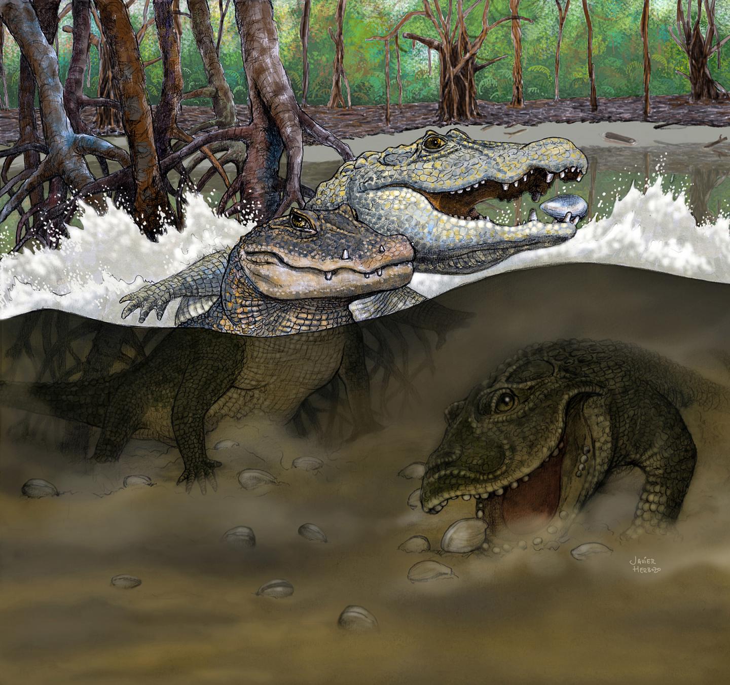 Crocodile Scene [IMAGE] | EurekAlert! Science News Releases