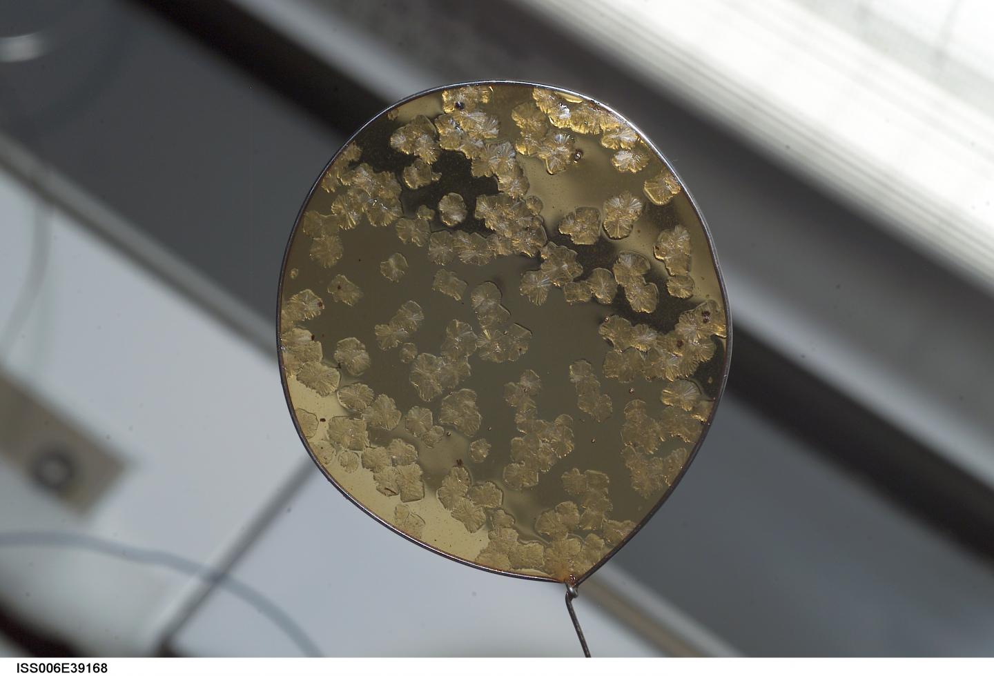 Crystal Formation [IMAGE] | EurekAlert! Science News Releases