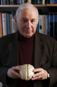 Brain waves pattern themselves after rhythms | EurekAlert!