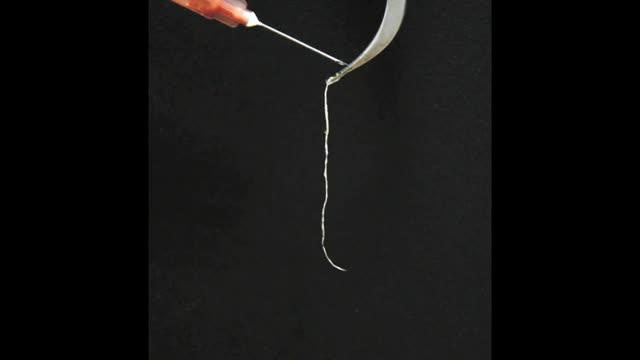 Spider silk demonstrates Spider Man-like abil | EurekAlert!