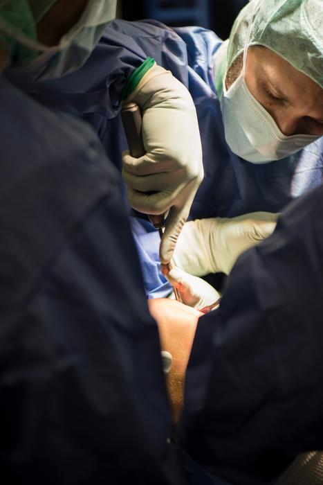 Cartilage transplant insertion [IMAGE] | EurekAlert! Science News Releases