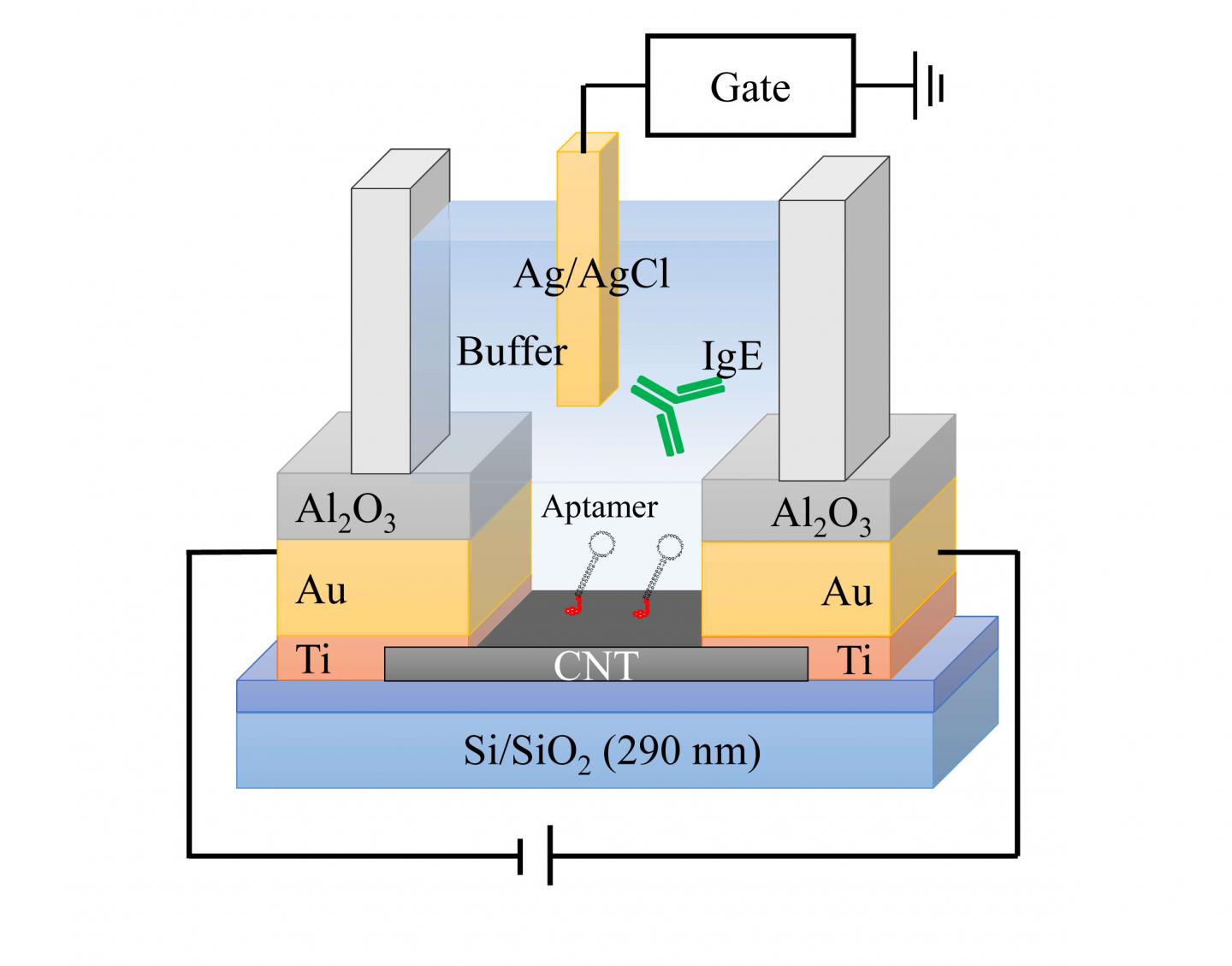 Schematic Drawing of the Senso [IMAGE] | EurekAlert! Science News Releases