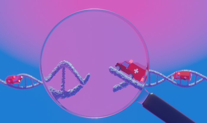 Princeton-led study of DNA repair boosts pros | EurekAlert!