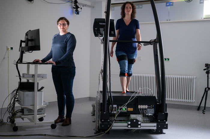 Smart Implants [IMAGE] | EurekAlert! Science News Releases