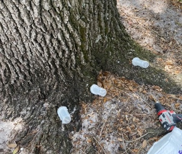 Tree Micro-Injector [IMAGE] | EurekAlert! Science News Releases