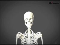 Development and clinical approval of biodegra | EurekAlert!