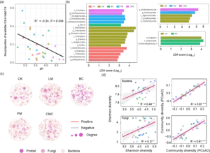 Contrasting response of rice rhizosphere micr | EurekAlert!
