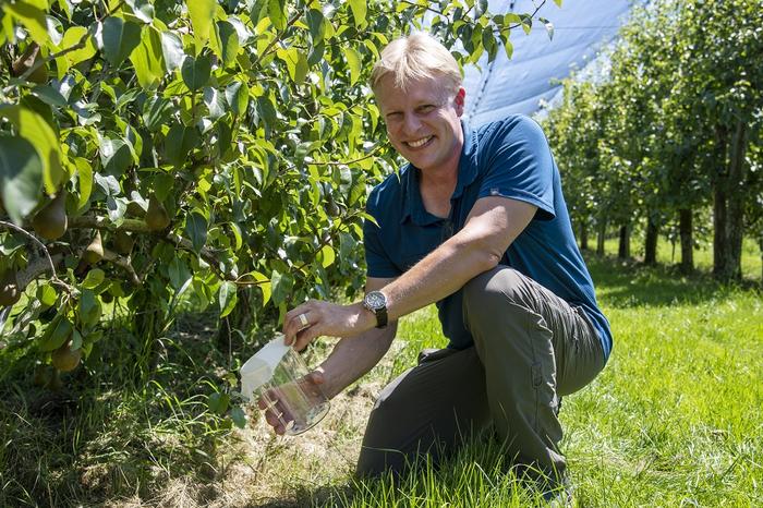 Dr Tim Haye releases in 2020 t [IMAGE] | EurekAlert! Science News Releases