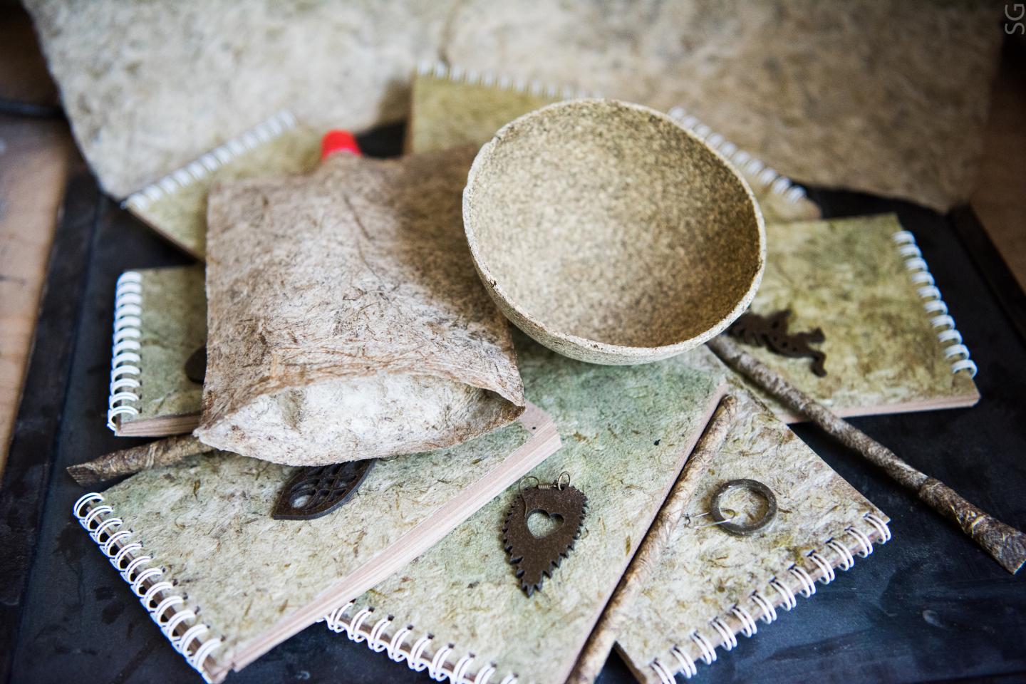 NUST MISIS graduate creates biodegradable veg | EurekAlert!