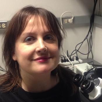 Maria Barna [IMAGE] | EurekAlert! Science News Releases