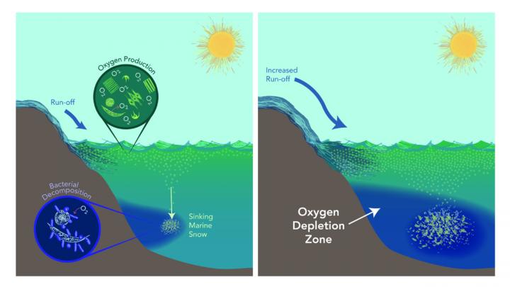 New technique offers clues to measure the deo | EurekAlert!