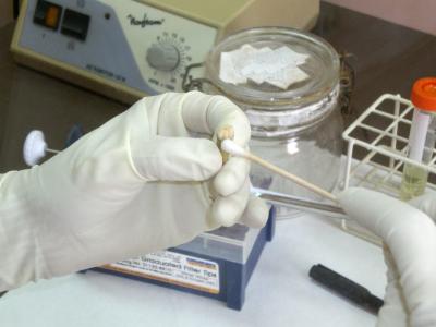 Aboriginal Dental Sample [IMAGE] | EurekAlert! Science News Releases