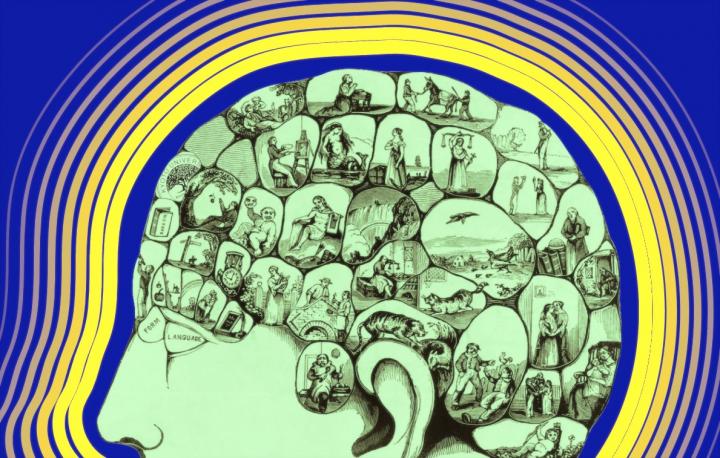 Take a look, and you'll see, into your imagin | EurekAlert!