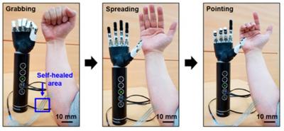The Robotic Arm that Can Imita [IMAGE] | EurekAlert! Science News Releases