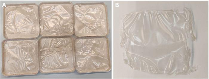 The researchers' plastic film [IMAGE] | EurekAlert! Science News Releases