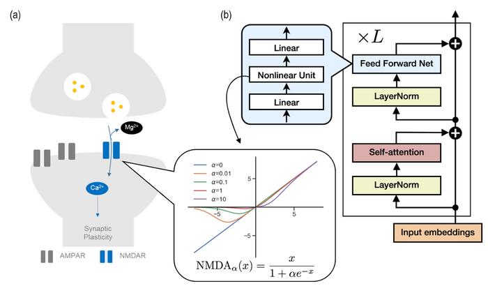 AI's memory-forming mechanism found to be str | EurekAlert!