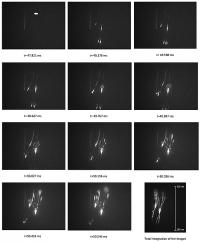 Storm elves and sprites recorded on video | EurekAlert!