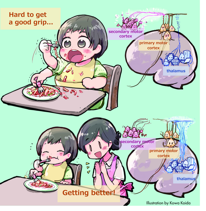 IMAGE [IMAGE] | EurekAlert! Science News Releases