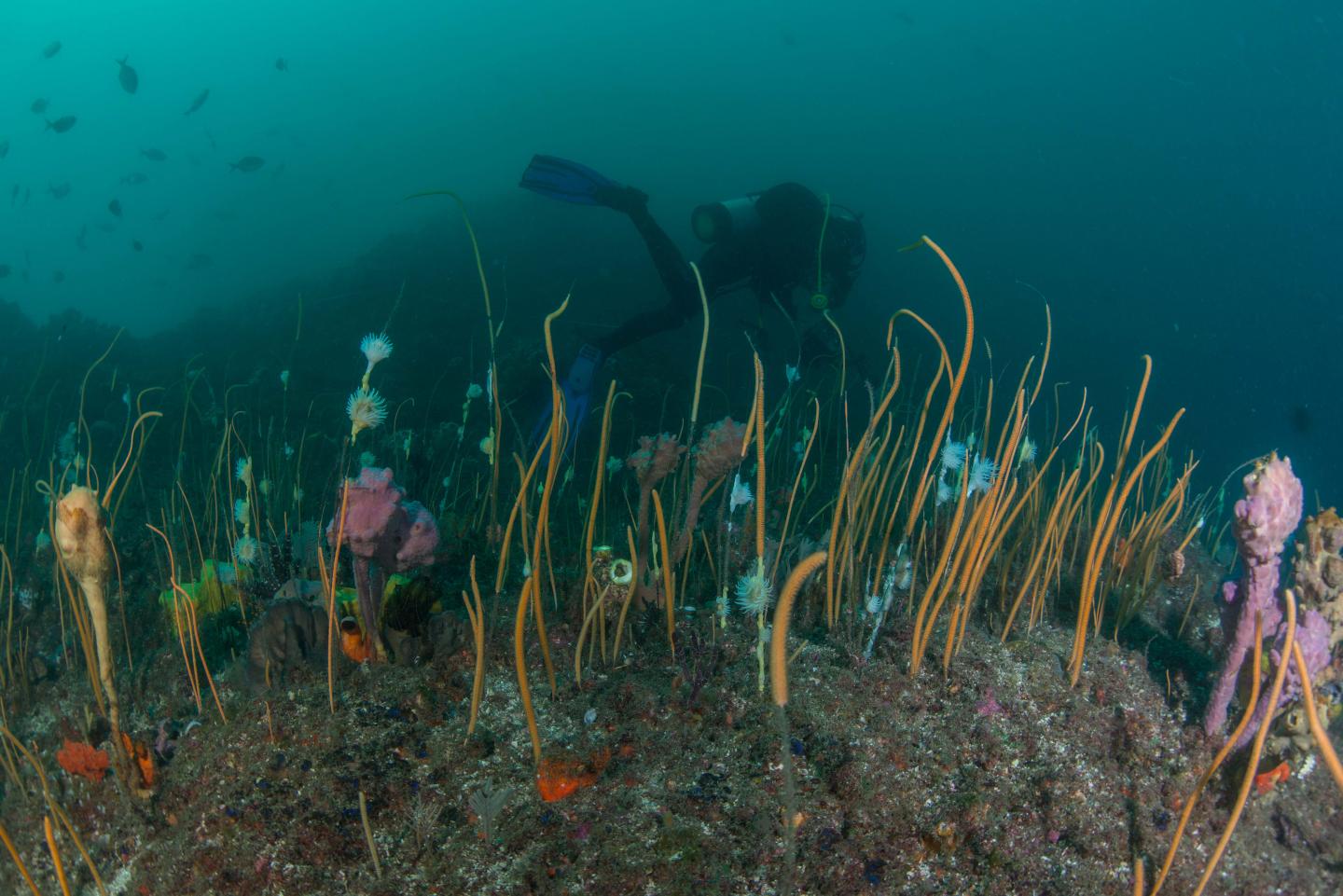 Rethinking Drivers of the Worl [IMAGE] | EurekAlert! Science News Releases