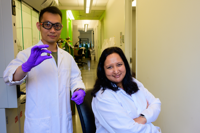 photo of researchers [IMAGE] | EurekAlert! Science News Releases