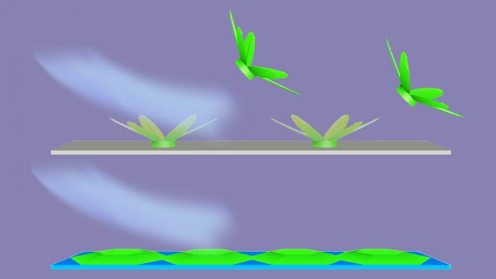 Ice Rendering [IMAGE] | EurekAlert! Science News Releases