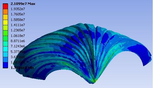 Seashell strength inspires stress tests | EurekAlert!