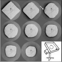 36 hour news cycles, secret lives of pebbles, | EurekAlert!