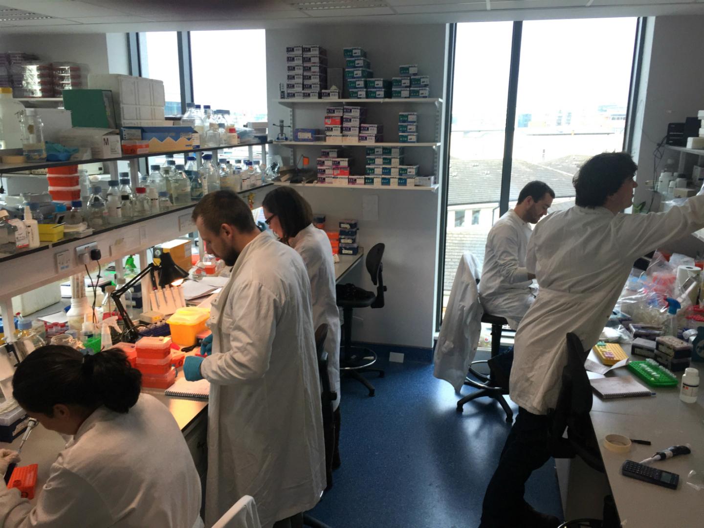 TBSI Lab [IMAGE] | EurekAlert! Science News Releases