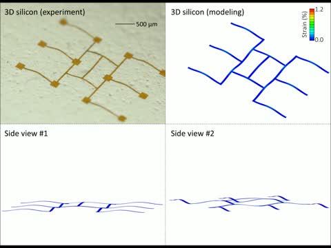 3-D 'pop-up' silicon structures: Transforming | EurekAlert!