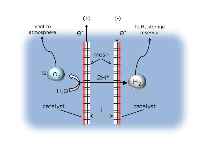 Schematic Side-View of Passive [IMAGE] | EurekAlert! Science News Releases